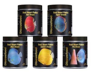 Discus Food 101 – Guide For Beginners – Discus Rescue